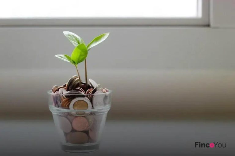 Household Budgeting: Balancing Income and Expenses Wisely